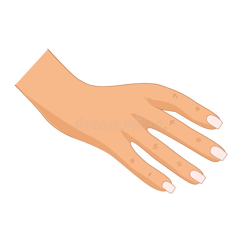 Hand in Pose. Male or Female Hand in Cartoon Style Stock Illustration ...