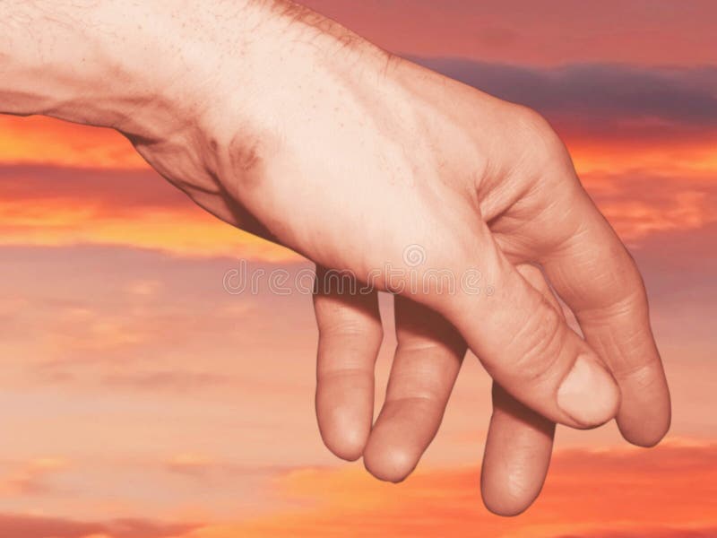 Hand Position Set. Female Or Male Hands Holding Gesture Opening ...