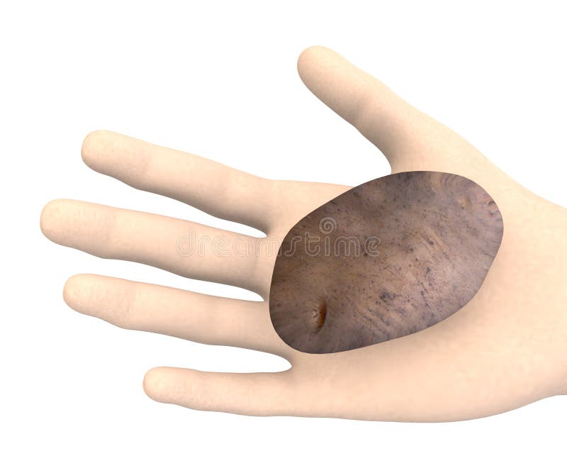 Hand with potato stock illustration. Illustration of character - 24911433