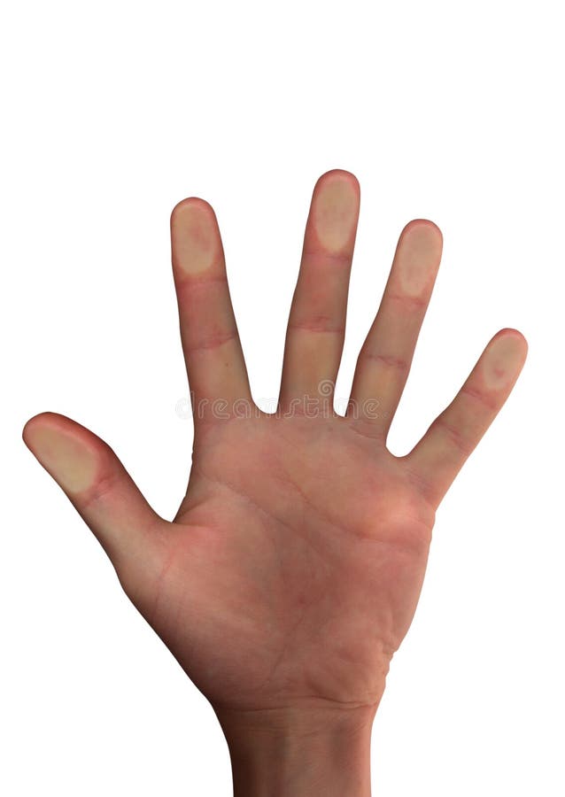 Hand Print stock photo. Image of future, high, composite - 5804424