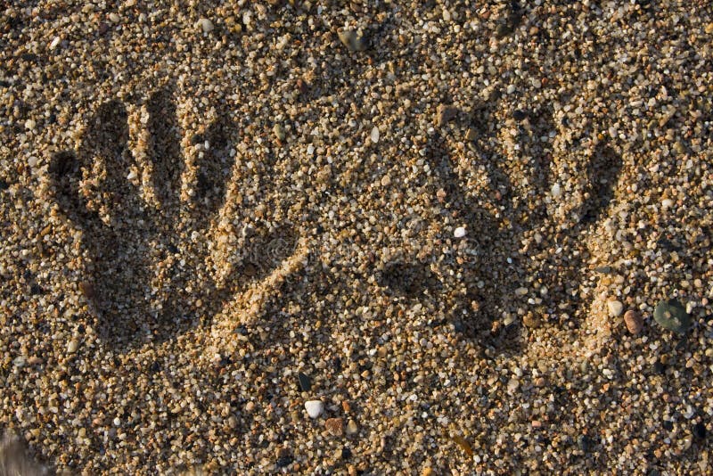 Hand print on the beach stock photo. Image of hand, nature - 9263808