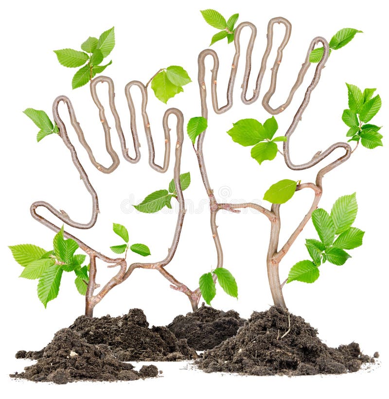 Hand prints stock photo. Image of dirt, global, grow - 54836686