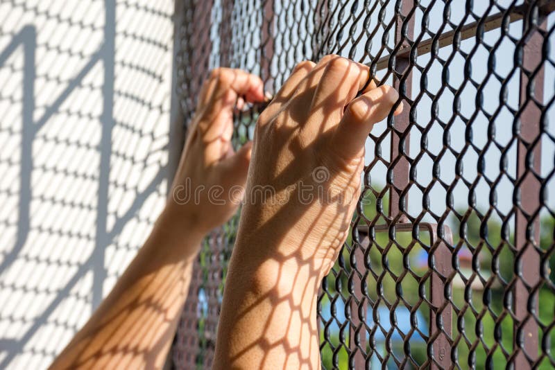 Hand of prisoner in jail stock photo. Image of jail, prison - 80363500