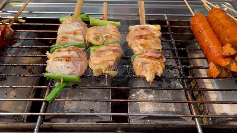Hand Process of Cooking Satay on Grill Stock Footage - Video of stove ...