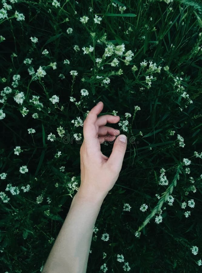 Hand stock image. Image of preset, hand, vsco, processed - 88953439