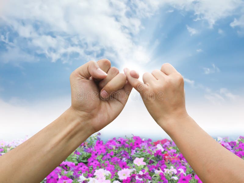 Hand promise stock photo. Image of happy, girl, cheerful - 20594330