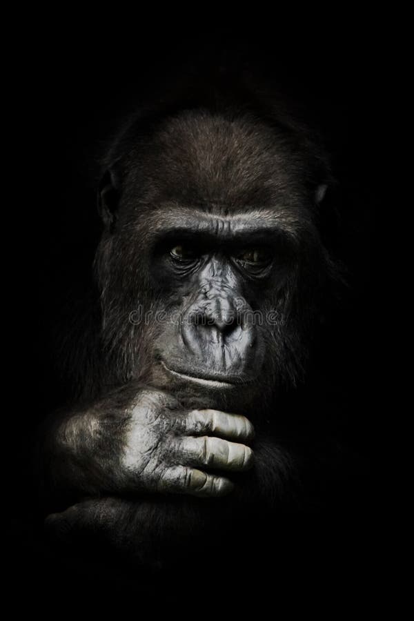 Powerful Hand. the Brutal Muzzle Face of a Powerful and Strong Male ...