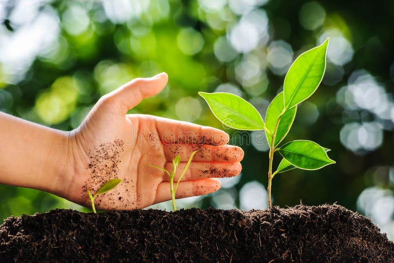 Protect our green life stock image. Image of businessman - 62890079