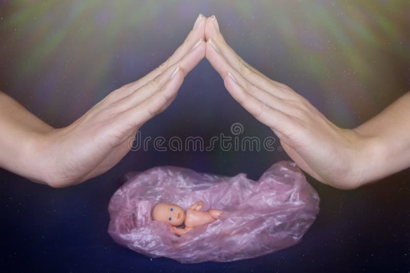 Hand Protecting Embryo Stock Photos - Free & Royalty-Free Stock Photos ...