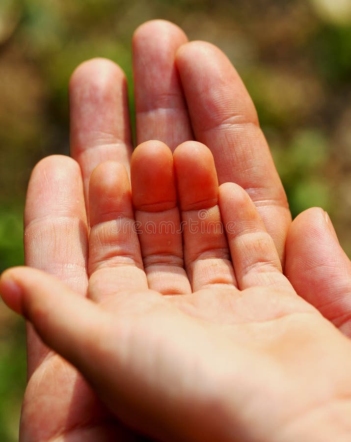 Hand in Hand Protector of His Father Stock Photo - Image of friendship ...