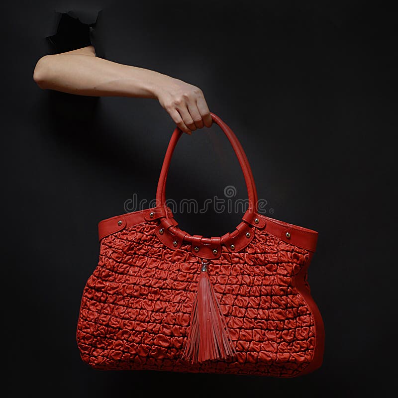 Hand with purse stock photo. Image of luxury, brand, purse - 13948432