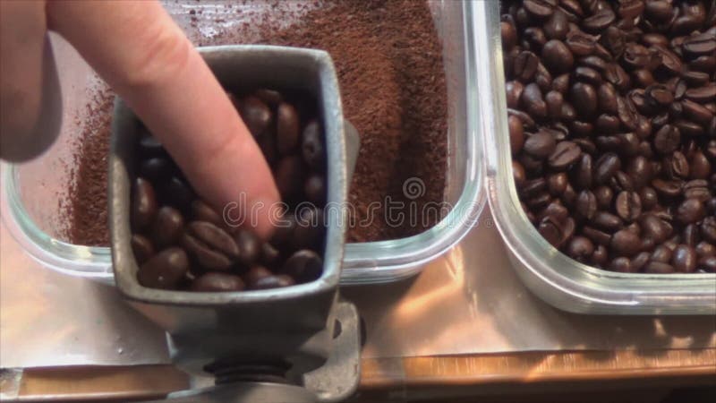 The Hand is Pushing Aromatic and Freshly Roasted Coffee Beans Ground in ...