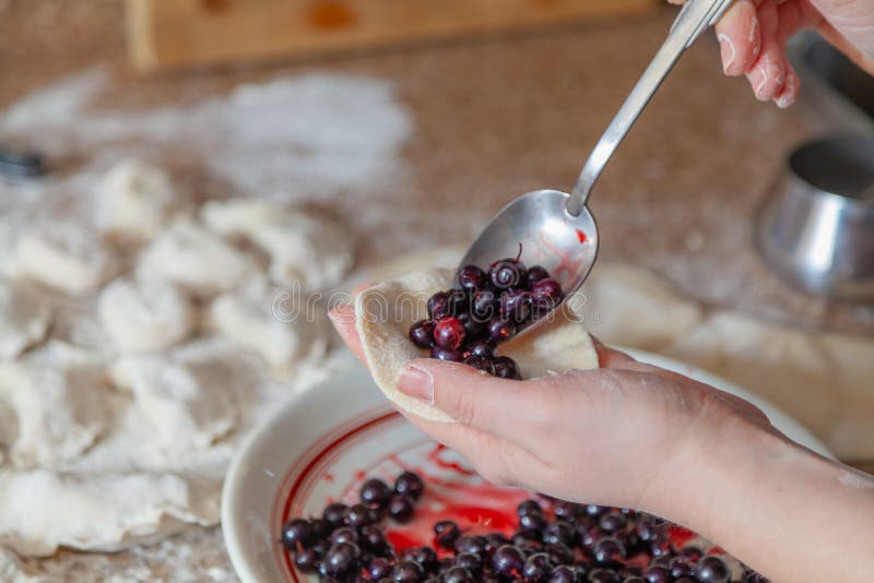 Hand Puts Berries in Dumpling Spoon Stock Photo - Image of dumpling ...
