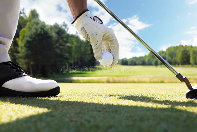 Hand Putting Golf Ball on Tee in Golf Course Stock Image - Image of ...