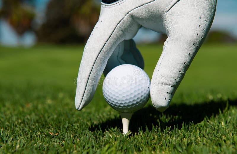 Hand Putting Golf Ball on Tee in Golf Course. Golf Ball in Grass. Stock ...