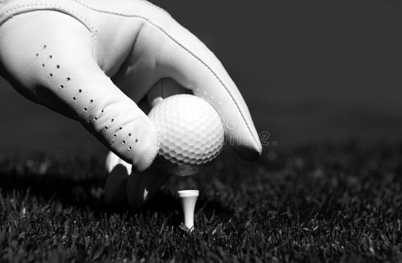 Hand Putting Golf Ball on Tee in Golf Course. Golf Ball in Grass. Stock ...