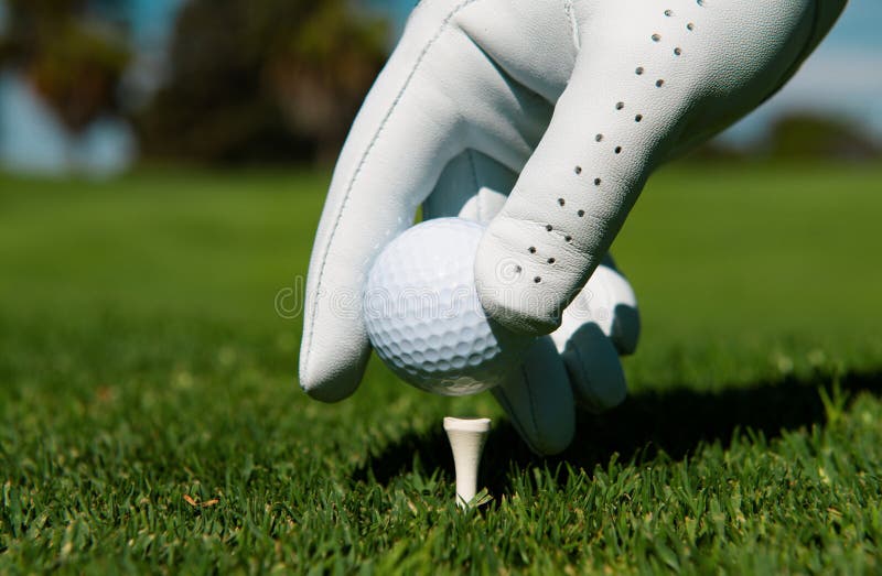 Hand Putting Golf Ball on Tee in Golf Course. Golf Ball in Grass. Stock ...