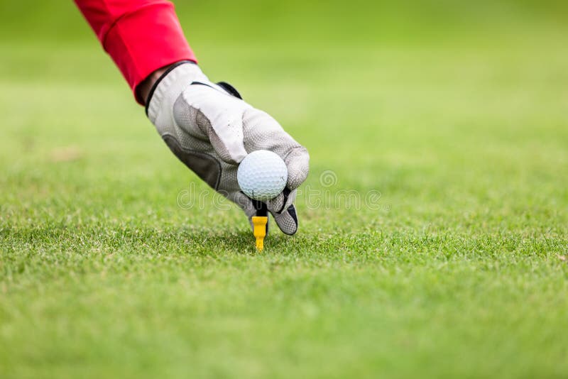Hand Putting Golf Ball on Tee Stock Photo - Image of game, placing ...