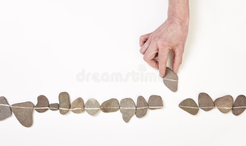 Dry branch stock photo. Image of tinder, isolated, objects - 12368970