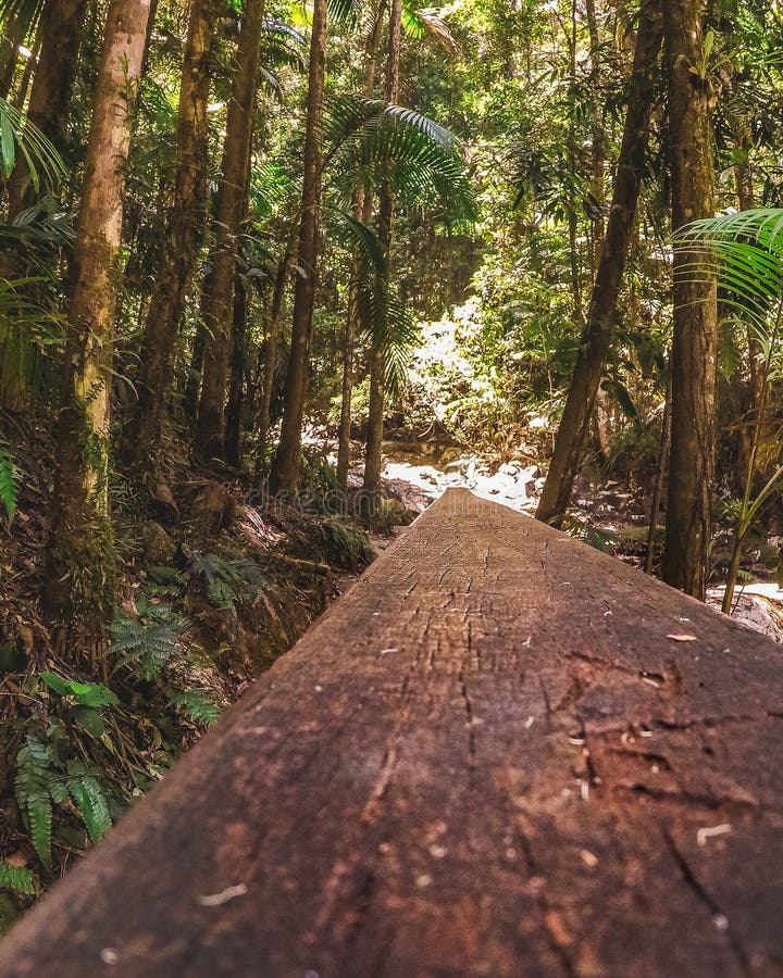 Hand rail walk stock image. Image of queensland, park - 141454097