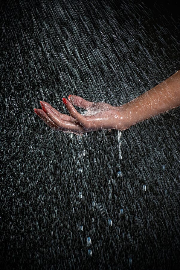 Rain stock image. Image of stem, seasonal, thrive, plant - 5600617