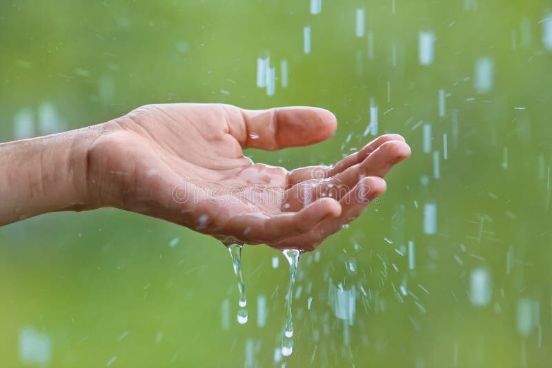 Hand and rain water stock image. Image of hands, green - 43859359