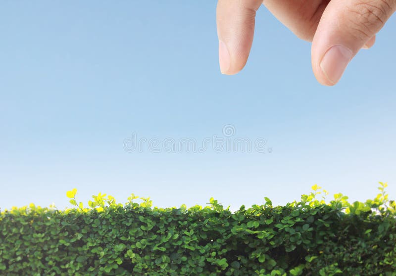 Hand Raise for Receive Something Stock Photo - Image of reward, nature ...