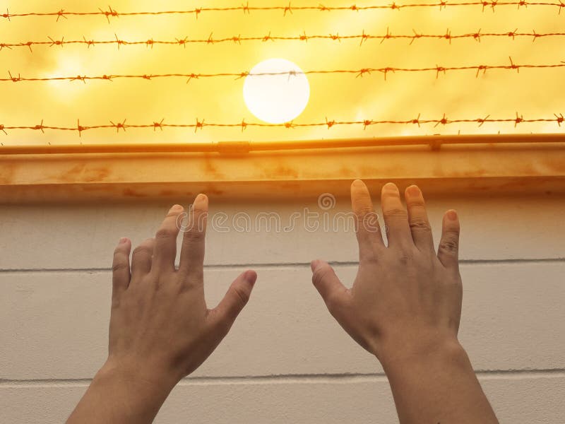 Hand Raise To Barbed Wire or Barbwire Stock Photo - Image of concrete ...
