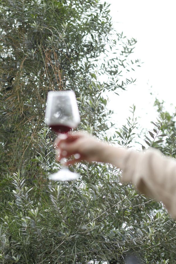 Hand Raising a Wine Glass in Front of a Tree Stock Image - Image of ...