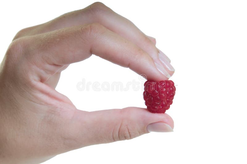 Raspberry in hand stock photo. Image of finger, sweet - 14982744