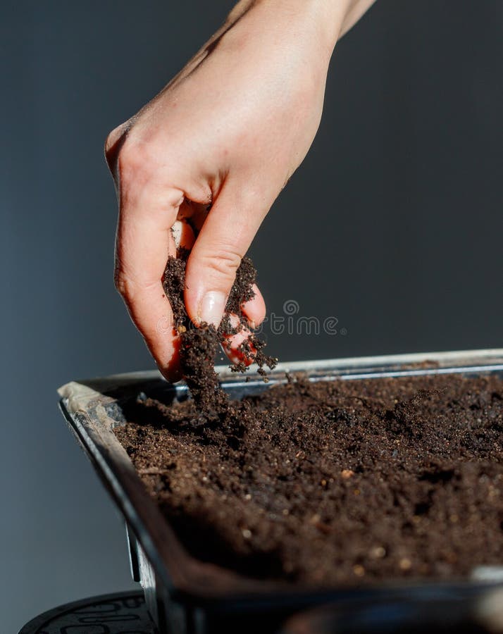 A Hand is Reaching into a Container of Dirt Stock Photo - Image of ...