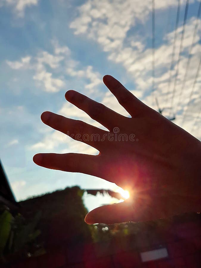 354 Shielding Shadow Stock Photos - Free & Royalty-Free Stock Photos ...