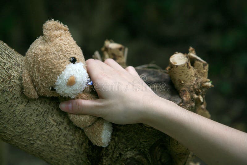 Hand Reaching for a Teddy Bear Stock Image - Image of bear, reach: 1635357