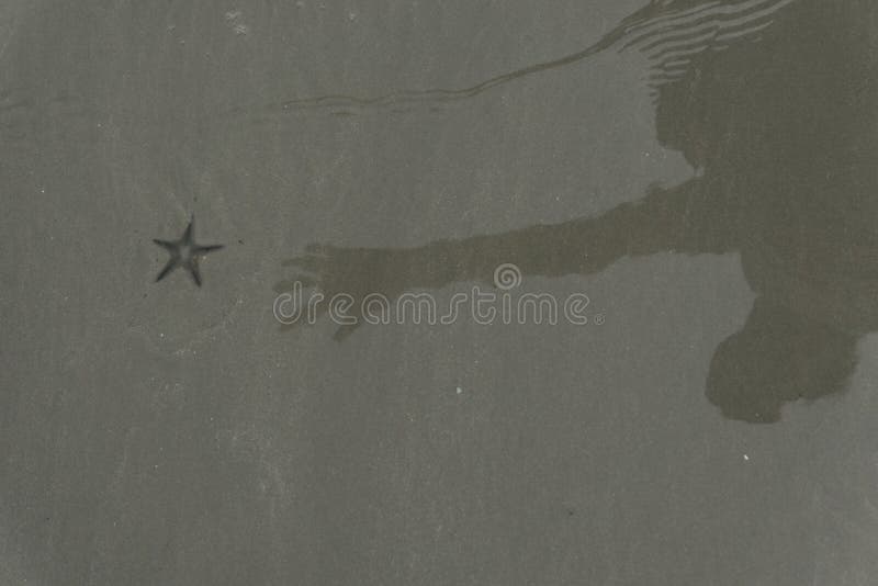 A Hand Reaching To Grab a Sea Star Stock Photo - Image of blurred ...