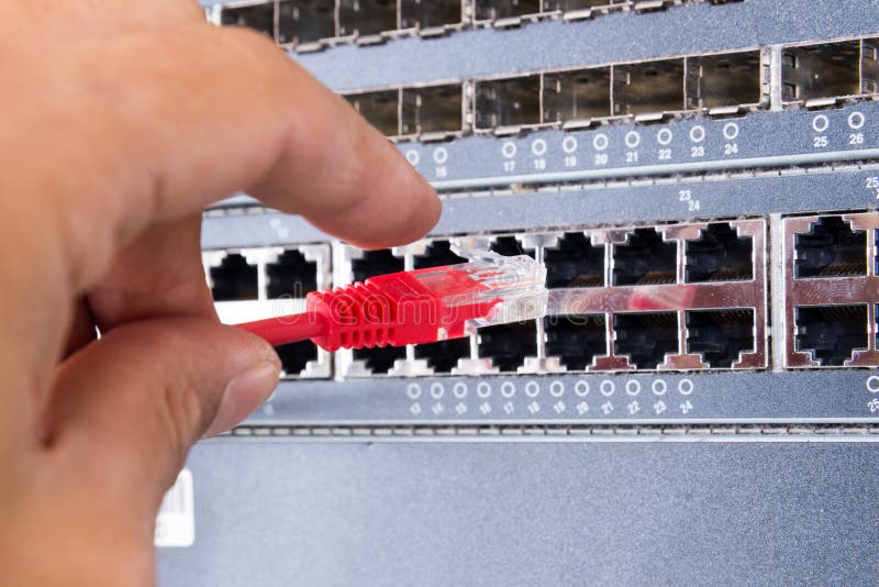 Hand With Red Ethernet Cable Stock Photo - Image of ethernet, plugging ...