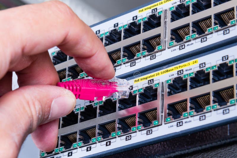 Hand with Red Ethernet Cable Stock Image - Image of data, rj45: 335546181