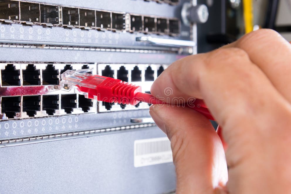 Hand with Red Ethernet Cable Stock Photo - Image of connection, cords ...