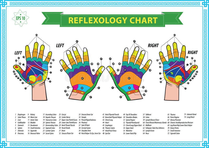 Hand reflexology chart stock illustration. Illustration of massaging ... Hand reflexology chart stock illustration. Illustration of massaging ...