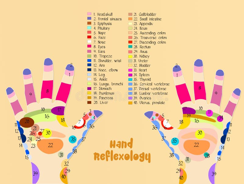 Hand Pressure Point Chart