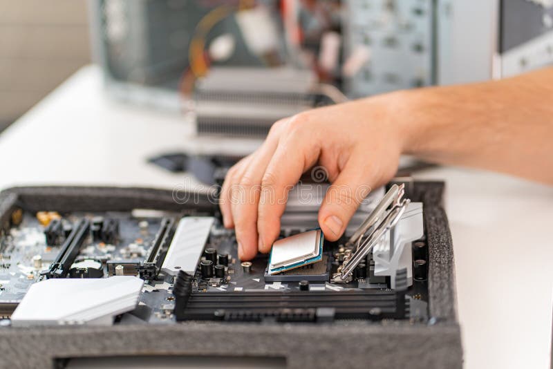 Hand of Repairman with a Processor. Professional Services. Stock Image ...