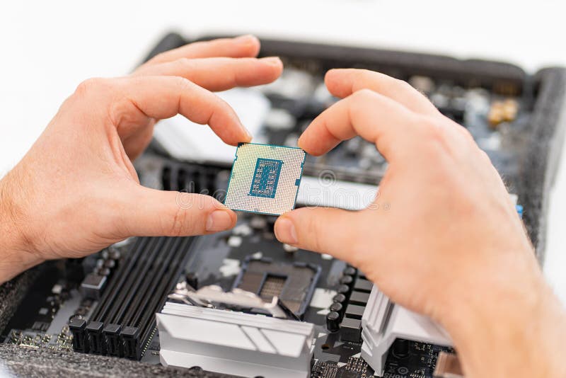 Hand of Repairman with a Processor. Professional Services. Stock Image ...