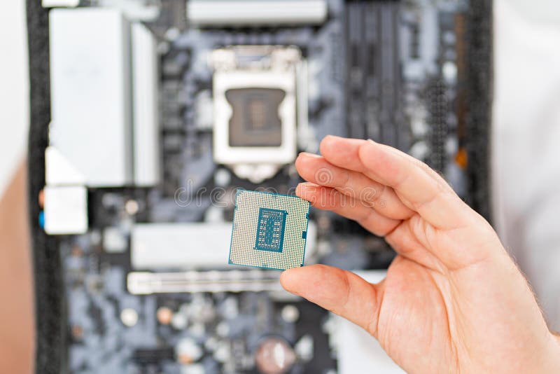 Hand of Repairman with a Processor. Professional Services. Stock Image ...