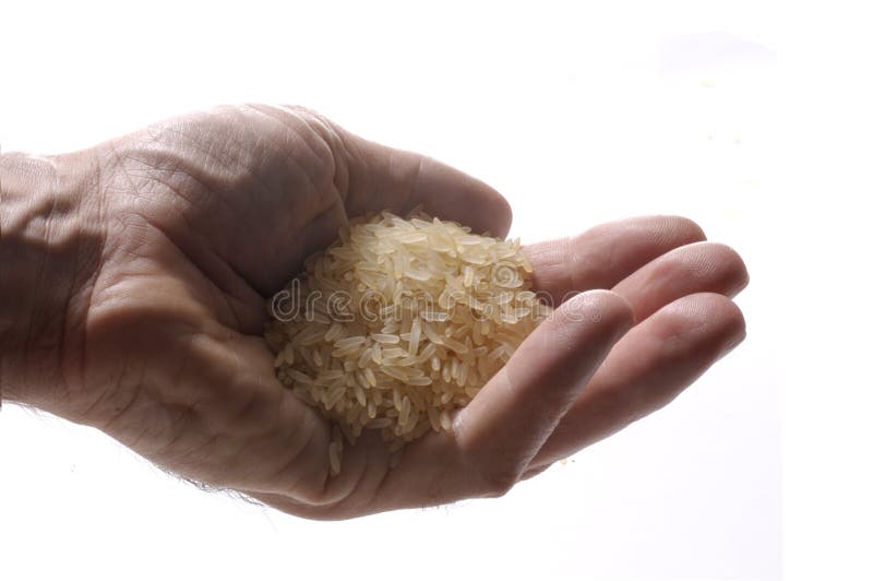 Hand with rice stock image. Image of fingers, ingredient - 19794827