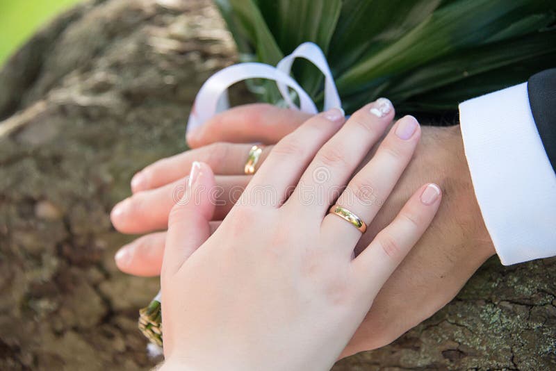 Hand in hand with rings stock photo. Image of celebration - 109929510