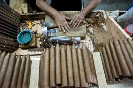 Hand Rolling Cigars editorial photo. Image of smoke, abundant - 19370406