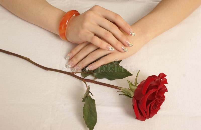 Hand roses stock photo. Image of finger, nail, bright - 12273716