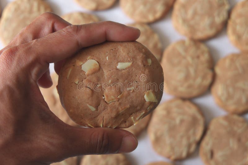 Hand with Round Cookie with Chocolate Stock Photo - Image of chocolate ...