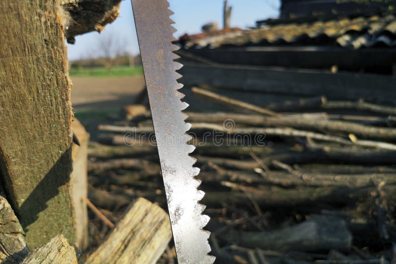 The Hand`s Saw on the Background of Stacked Wood Logs. the Saw and ...