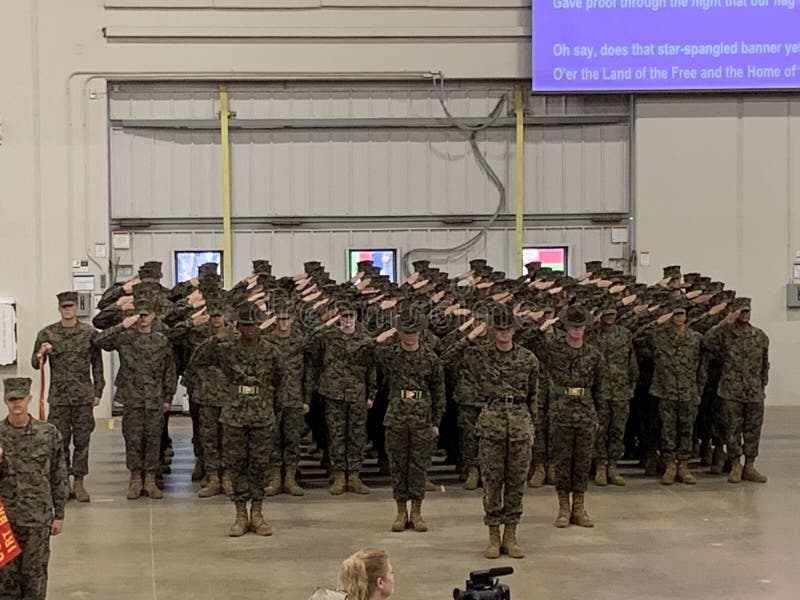 Hand Salute ! editorial image. Image of military, country - 155941490