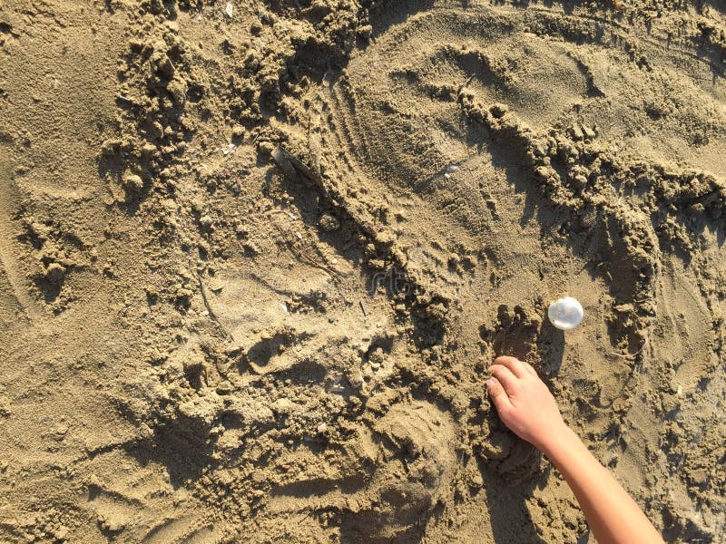 Hand in sand stock photo. Image of child, coastal, close - 57604538